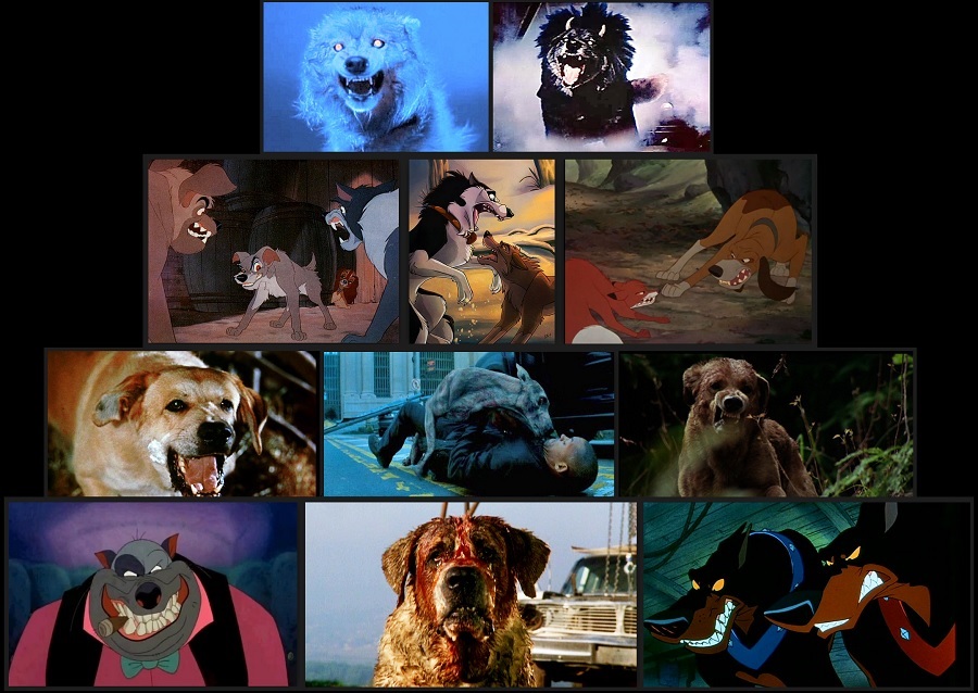 Bad Dogs in Movies Quiz - By HappyWife
