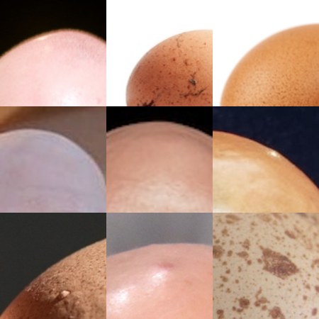 Bald Head or Egg Quiz - By nickandhayleyfra