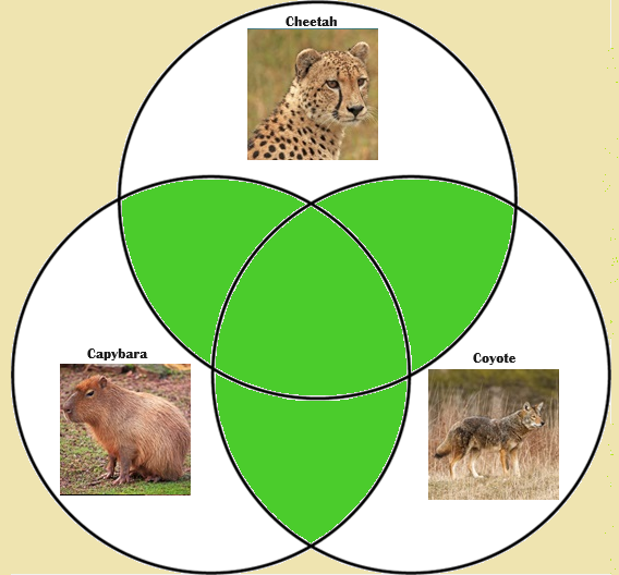 Venn Diagram : 'C' Animals Quiz - By harleydog