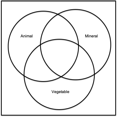 Animal, Vegetable, Mineral Venn Diagram Quiz - By Patrick_Greylock