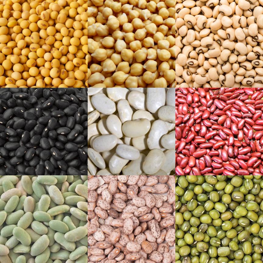 9 in 30: Beans Quiz - By CooCooCachoo