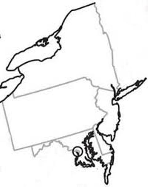 Identify the Mid Atlantic States Quiz - By scole9179