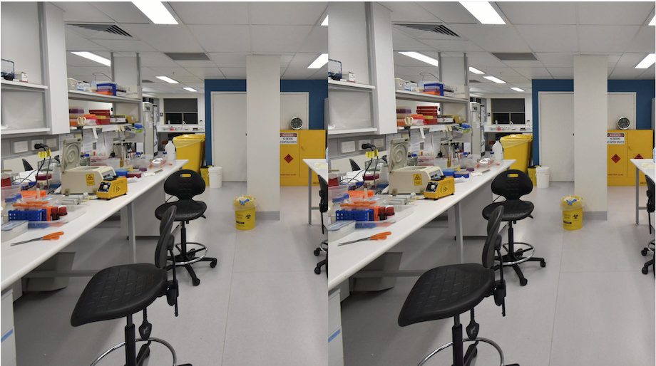 Spot the Difference Science Edition II Quiz - By Macrobial