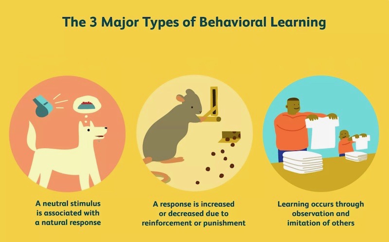 3 Major Types of Behavioral Learning Quiz - By CGMFan1