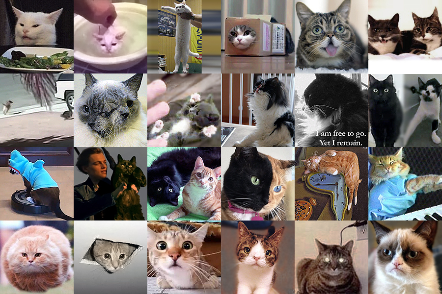 Click-an-Internet-Cat Quiz - By fellowmerry