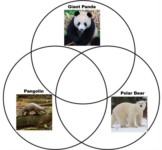 Venn Diagram : 'P' Animals Quiz - By harleydog