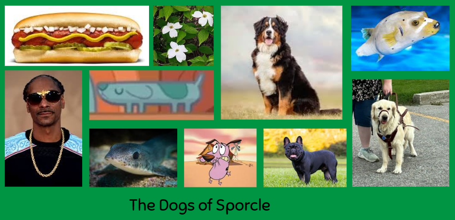 Picture Click: The Dogs of Sporcle Quiz - By frizzle99
