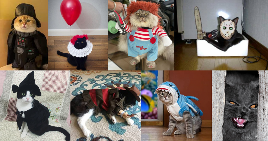 Cats as Movie Villains Quiz - By rae_cat