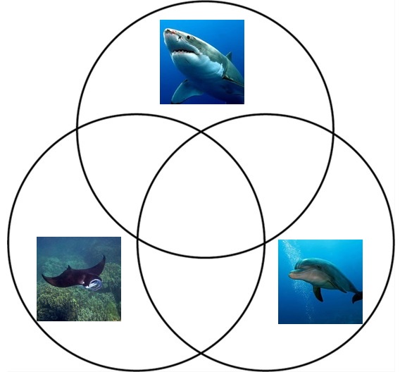 Venn Diagram : Aquatic Animals Quiz - By harleydog