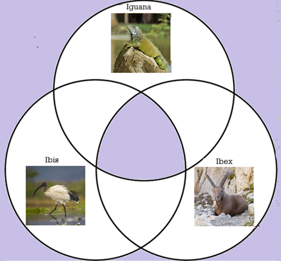 Venn Diagram : 'I' Animals Quiz - By harleydog