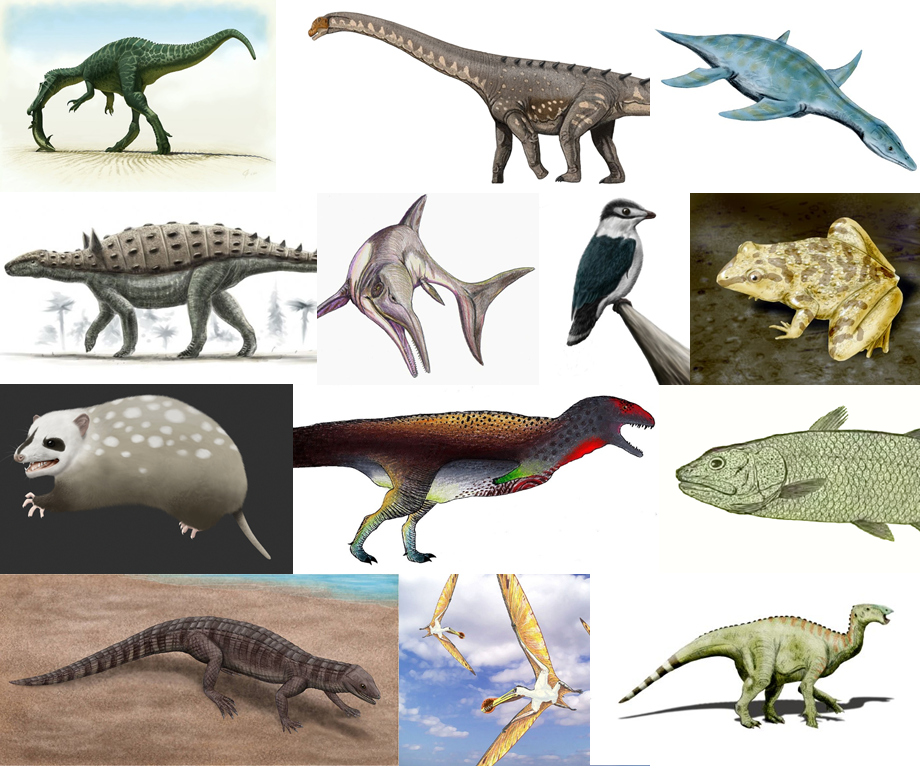 Cretaceous European Animals Quiz - By Extinctanimals22