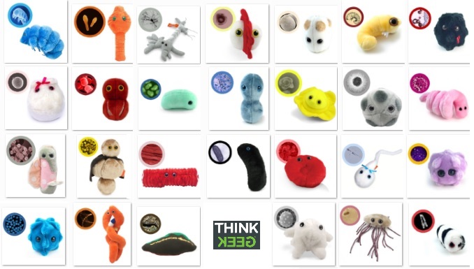 Cuddly Biology (Picture Click) Quiz - By HappyWife