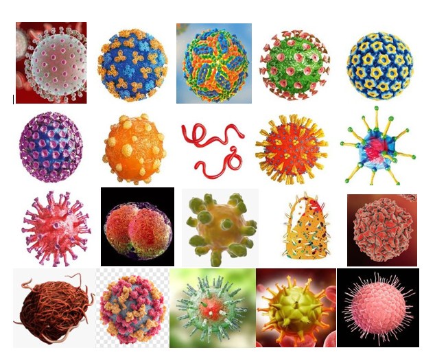 Virus images Quiz - By myxking72