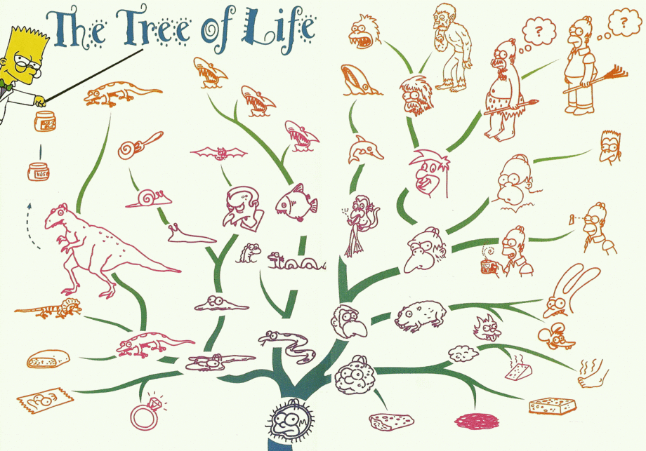 The Simpsons Tree of Life Quiz - By mucciniale