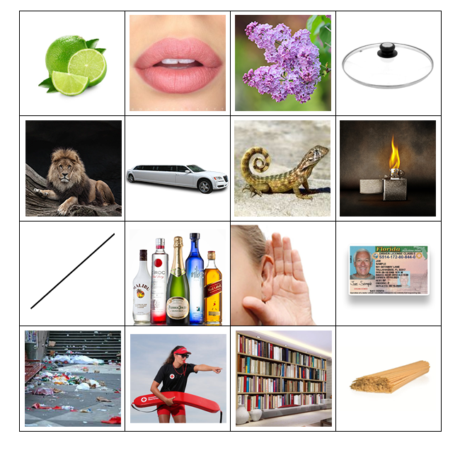 Words That Begin With 'Li' Picture Click Quiz - By johncenafan612
