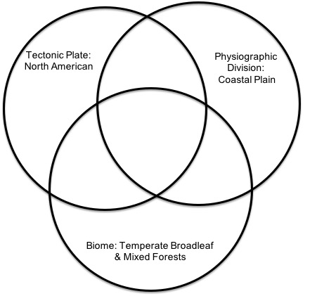 City by Physical Geography Venn Diagram 1 Quiz - By Patrick_Greylock