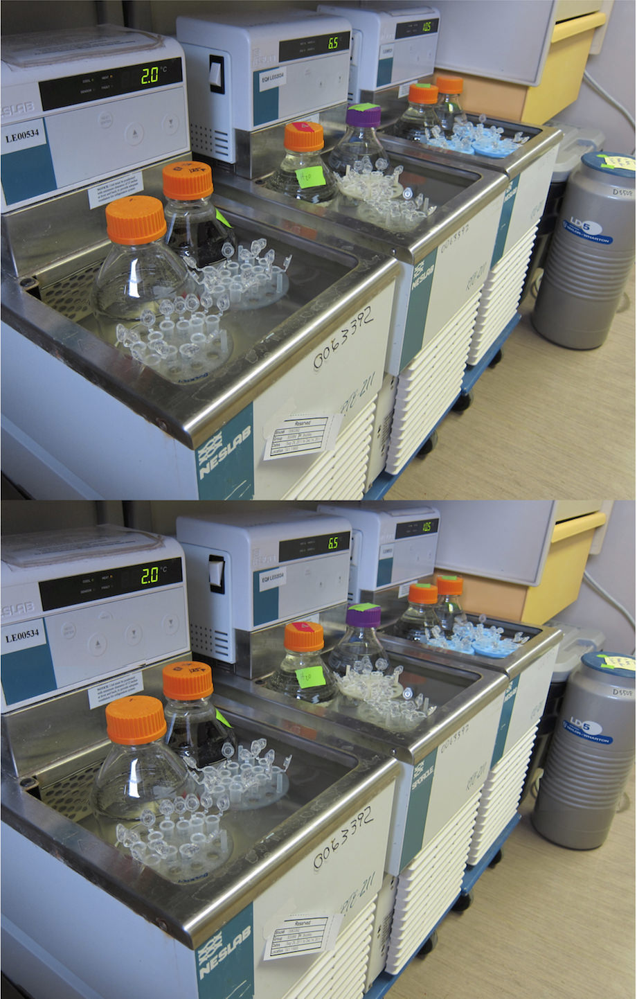 Spot the Difference Science Edition III Quiz - By Macrobial