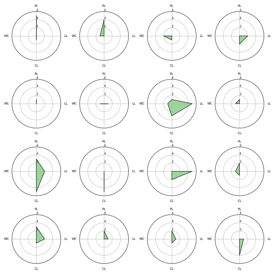 Soccer Spider Diagrams Quiz - By chaosBEE