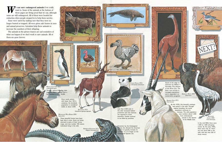 Zoobooks: Extinct Animals Quiz - By Extinctanimals22