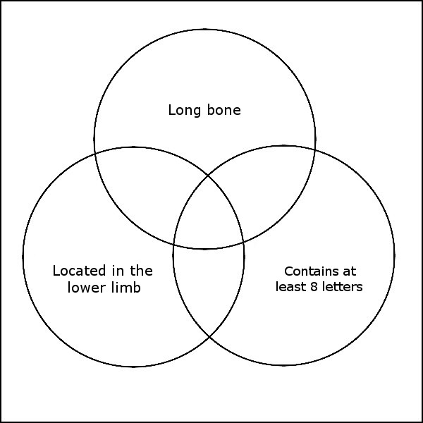 Bones Venn Diagram Quiz - By Darzlat
