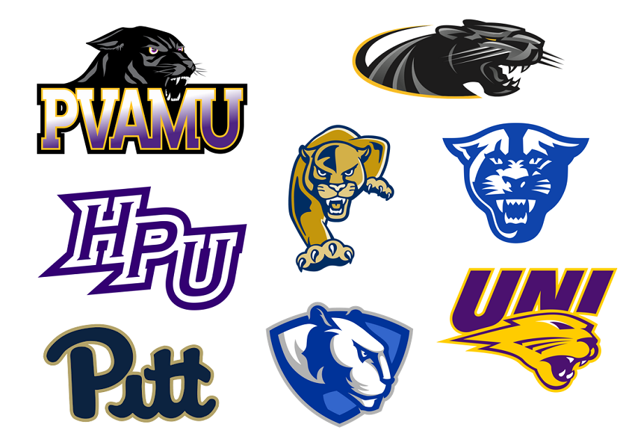 Click the NCAA Panthers Quiz - By Chenchilla