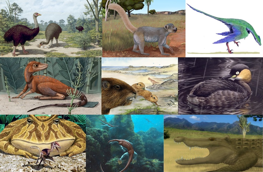 Extinct Animals of Madagascar Quiz - By Extinctanimals22