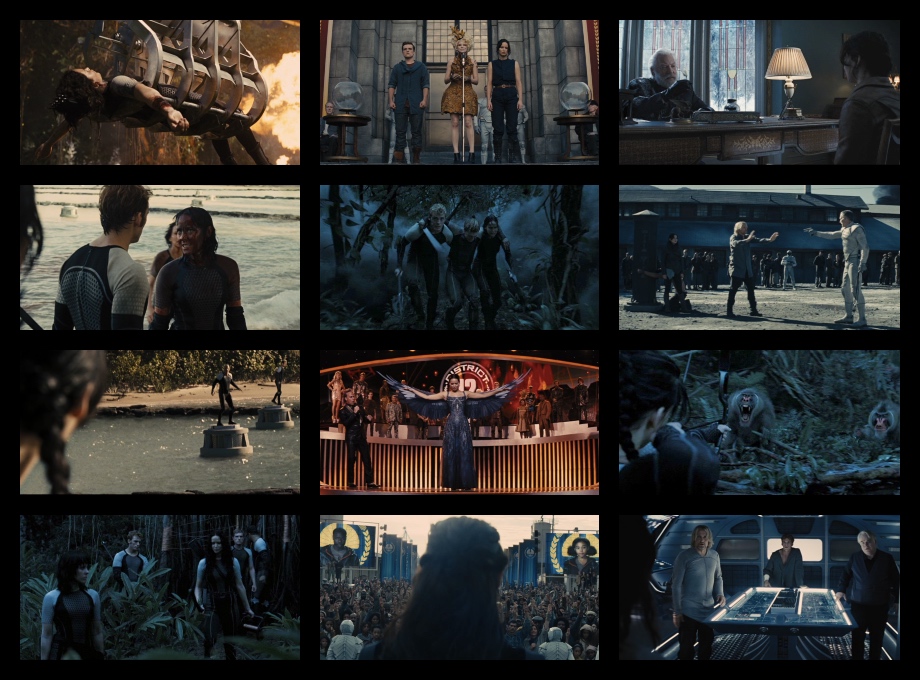 'The Hunger Games: Catching Fire' In Order Quiz - By Doctor_Arzt