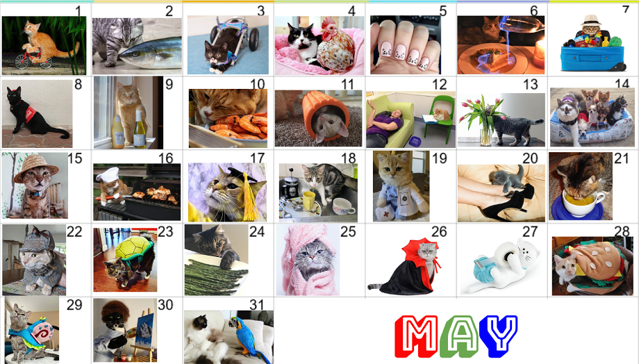 Calendar Cats: May Quiz - By rae_cat
