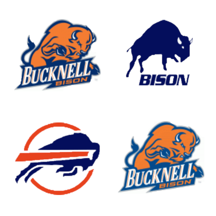 Bucknell Bison Logo History Quiz - By mdesjardins