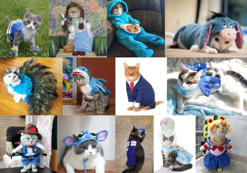 Cats as Blue Things Quiz - By rae_cat