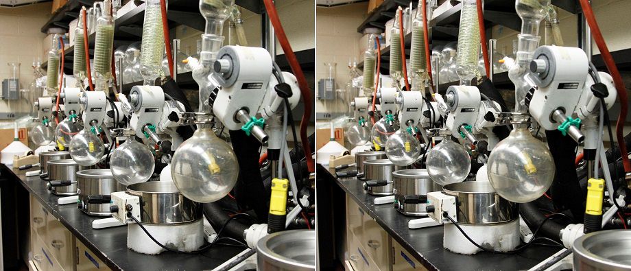 Spot the Difference Science Edition VIII Quiz - By Macrobial