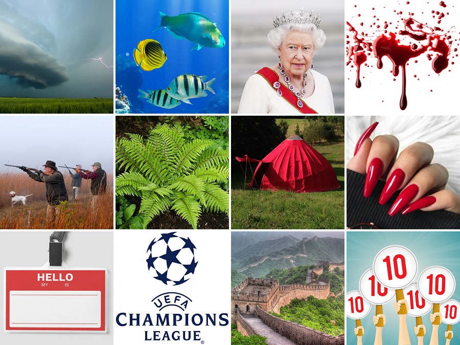 Complete Red Books with a Picture Quiz - By alvir28