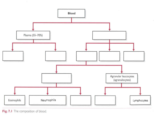 Blood Composition Quiz - By ANS205_study