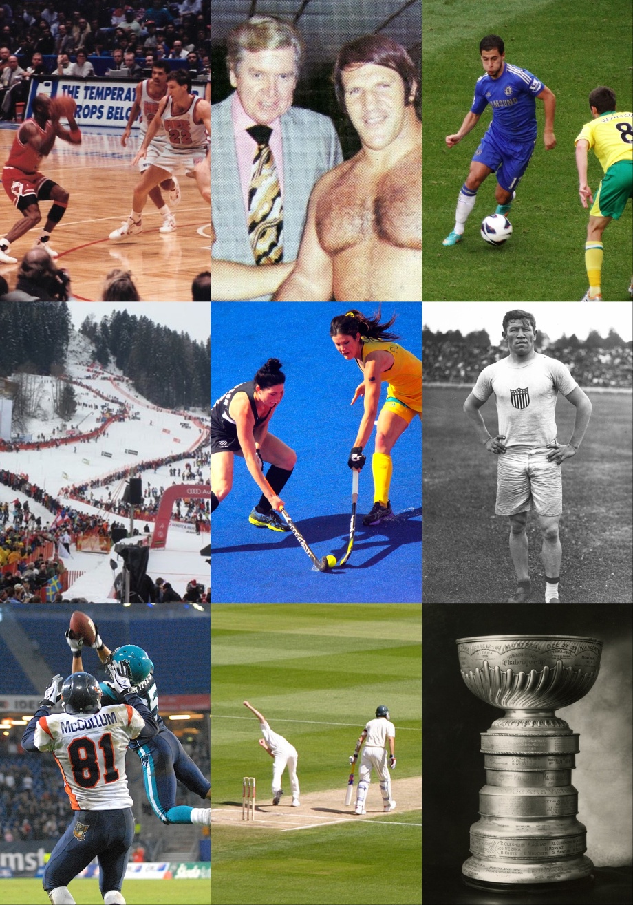 Wikipedia Image Blitz: Sports Subcategories Quiz - By geographyquizzer