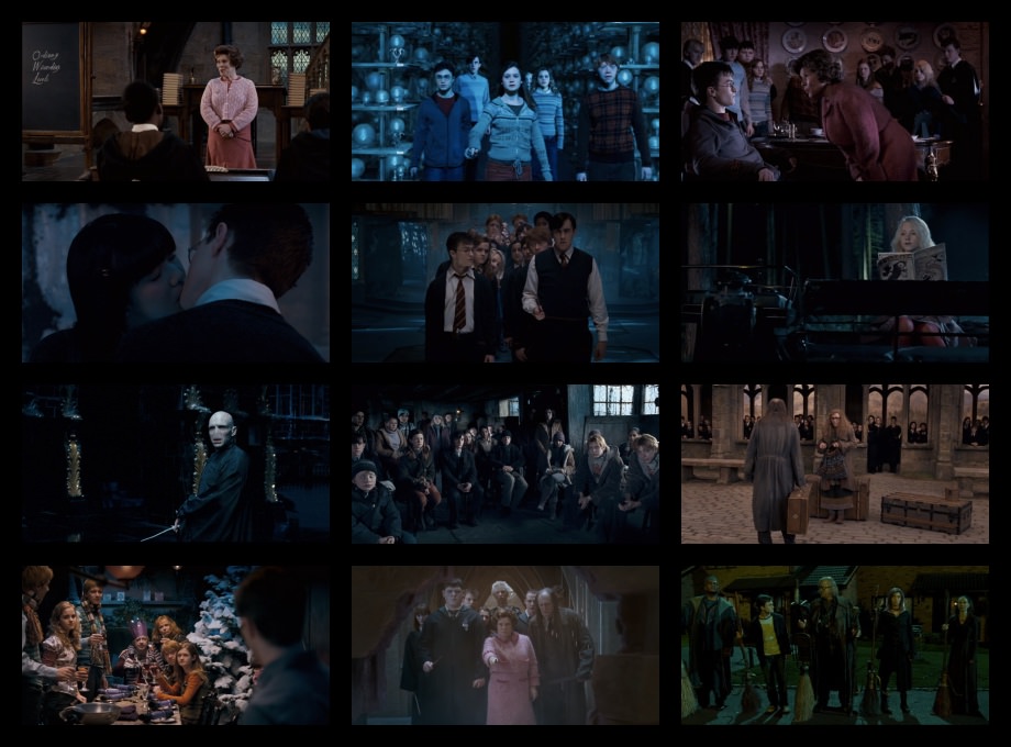 'Harry Potter and the Order of the Phoenix' In Order Quiz - By Doctor_Arzt