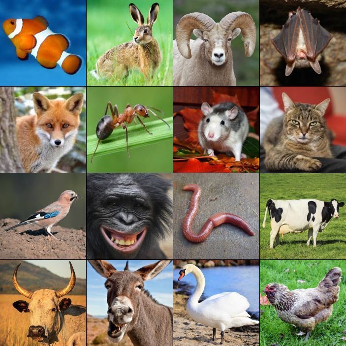 Animal Cities Quiz - By Pilgab