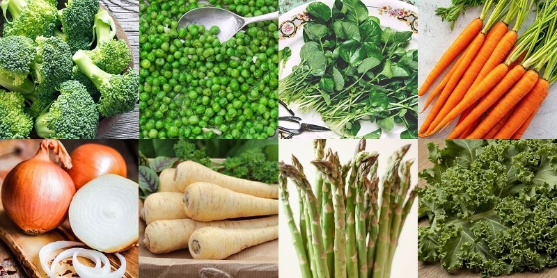 Vegetable by Length Quiz - By Flick