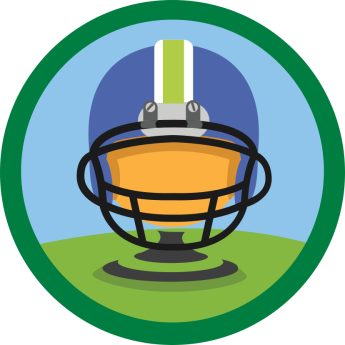 Sporcle Badge: Rookie Season