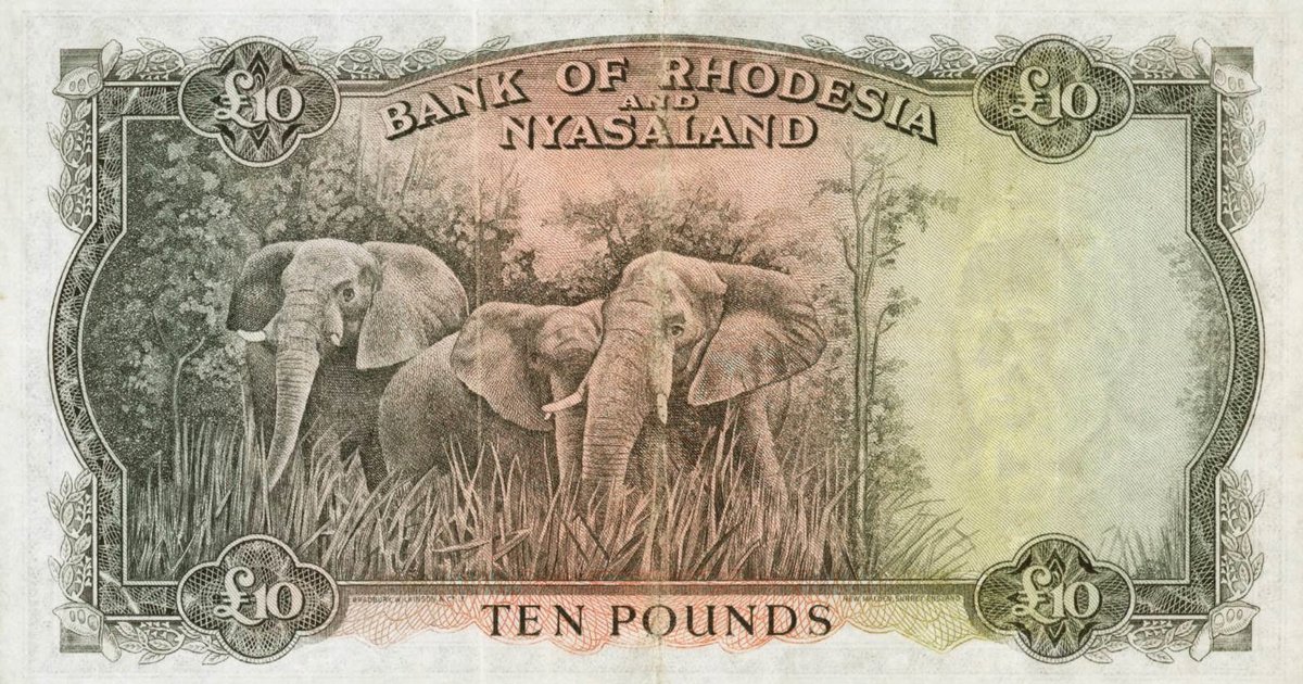 Animals on Banknotes Quiz Playlist - By kfastic