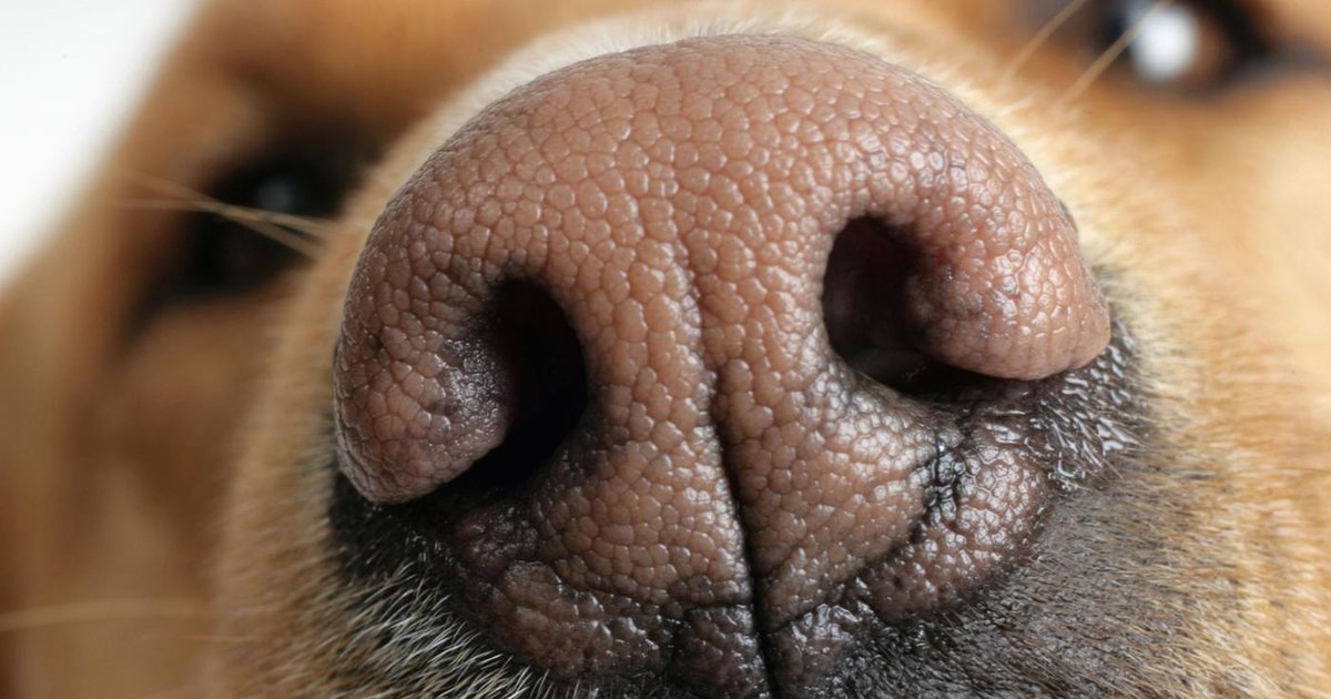 Things Close Up Quiz Playlist