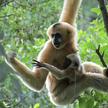 Sporcle | Spiele lustige Trivia-Quizze zu jedem Thema