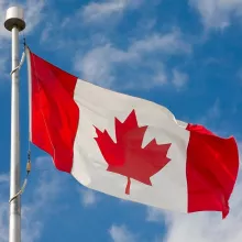 The Ultimate AP Brainrot Exam Quiz - By DylPicky